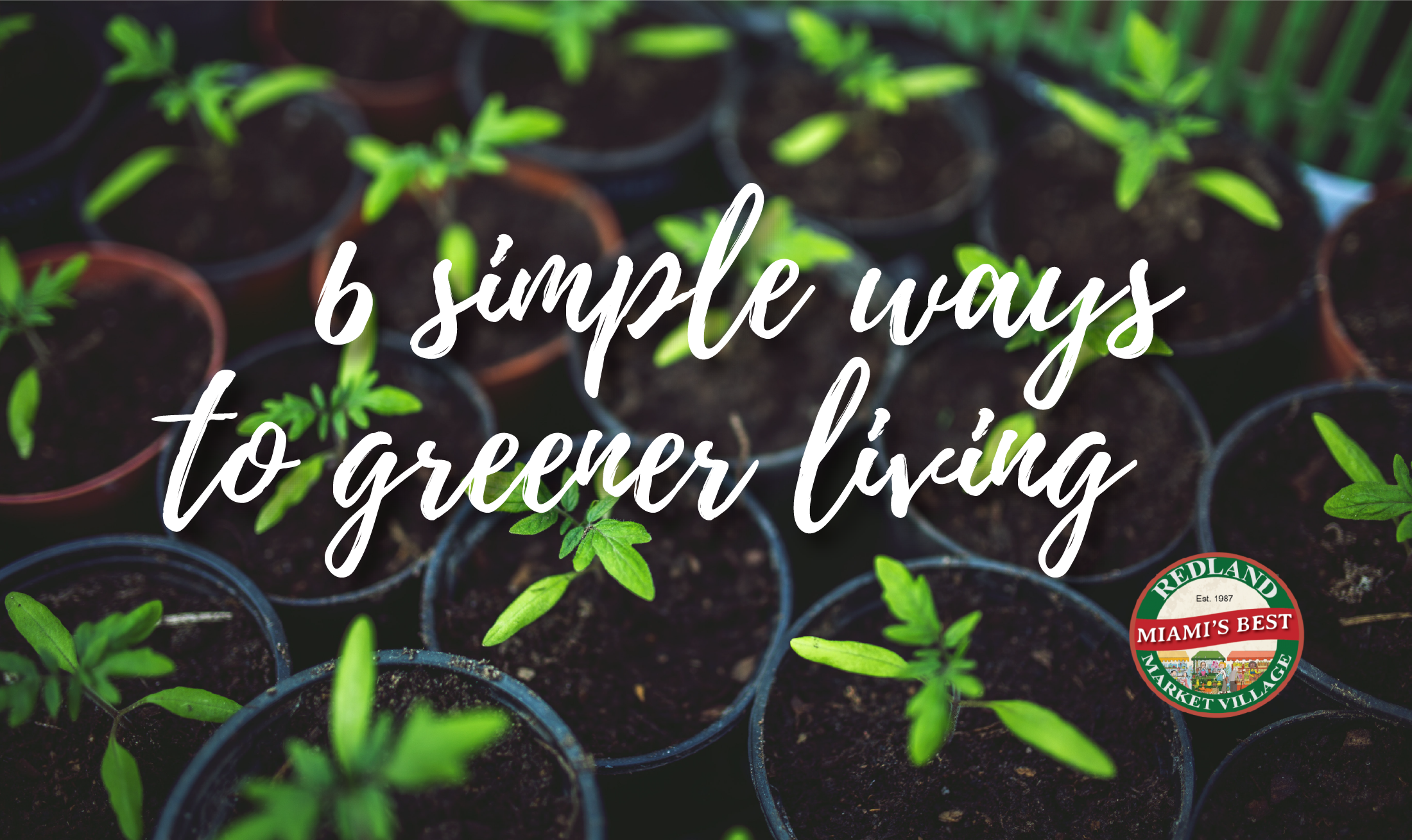 6 simple ways to greener living...